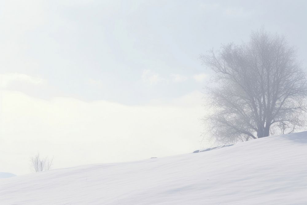 Winter snow landscape blizzard. | Premium Photo - rawpixel