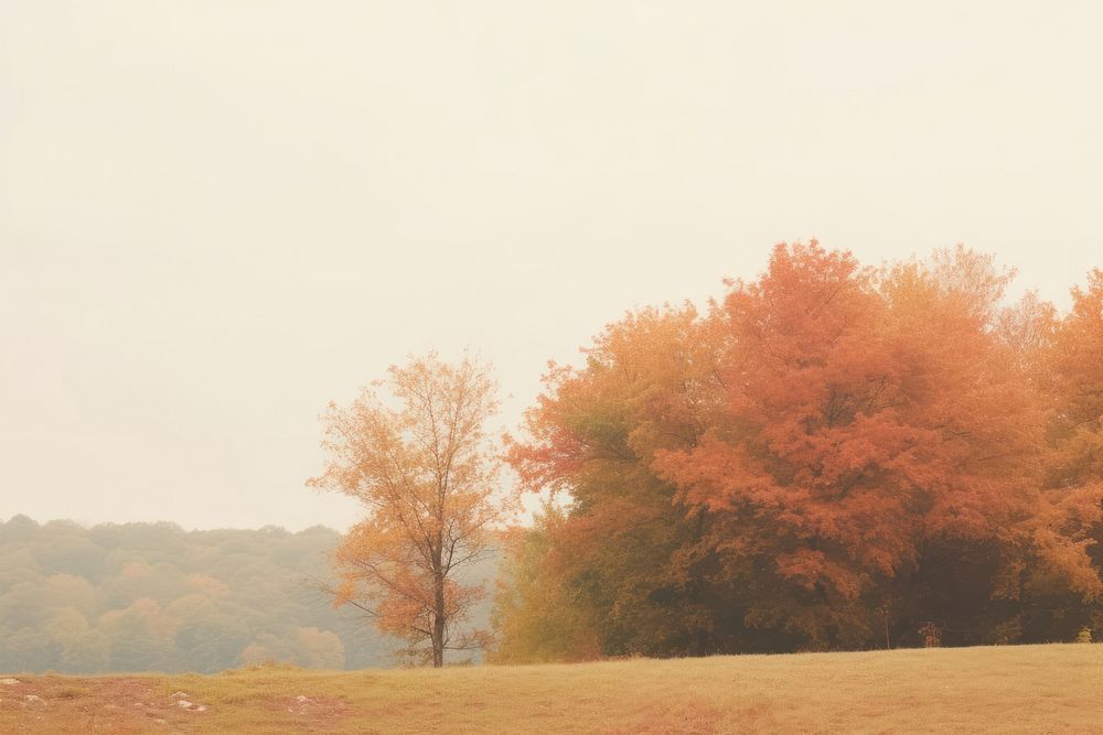 Autumn land landscape outdoors. | Free Photo - rawpixel