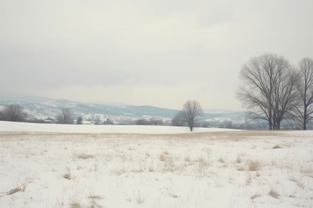Snow meadow landscape outdoors nature. | Premium Photo - rawpixel
