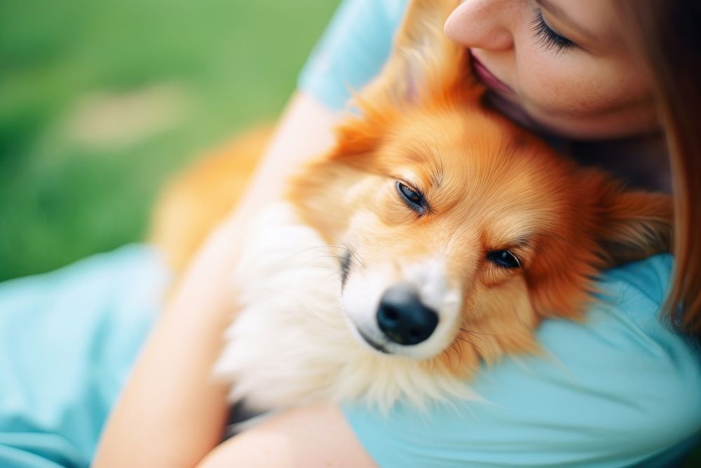 corgi dog cuddle woman owner | Premium Photo - rawpixel