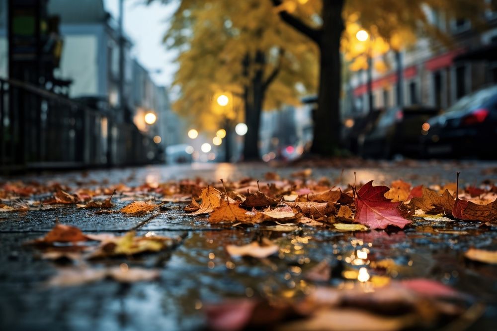 Street autumn leaves rain falls | Free Photo - rawpixel