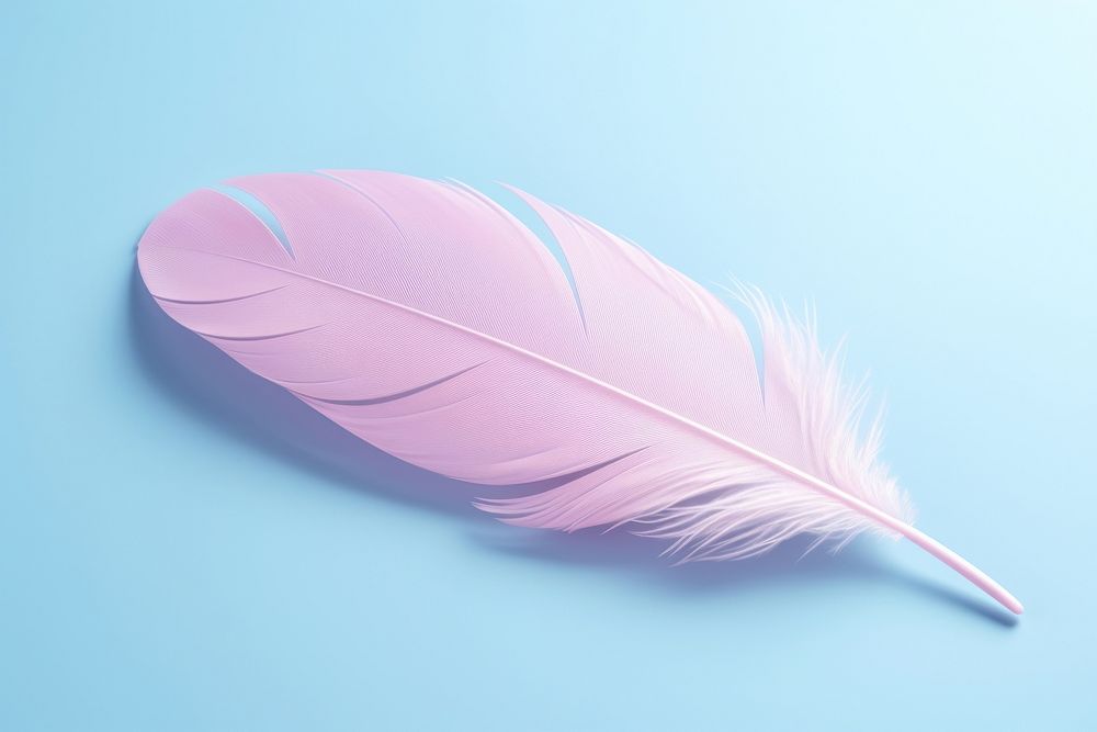 Feather lightweight accessories fragility. | Premium Photo Illustration ...