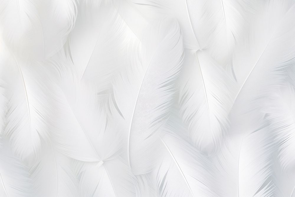 Feather background white backgrounds lightweight. | Premium Photo ...