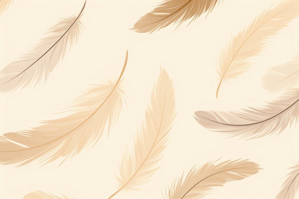 Feather background backgrounds pattern lightweight. | Free Photo ...