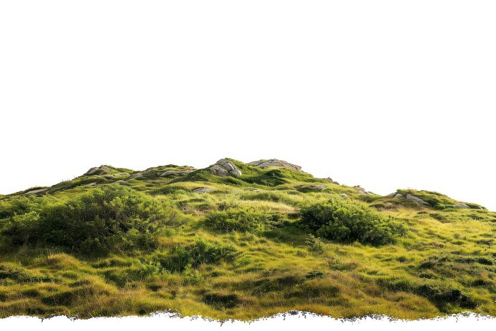 Hill border nature plant landscape. | Premium Photo - rawpixel