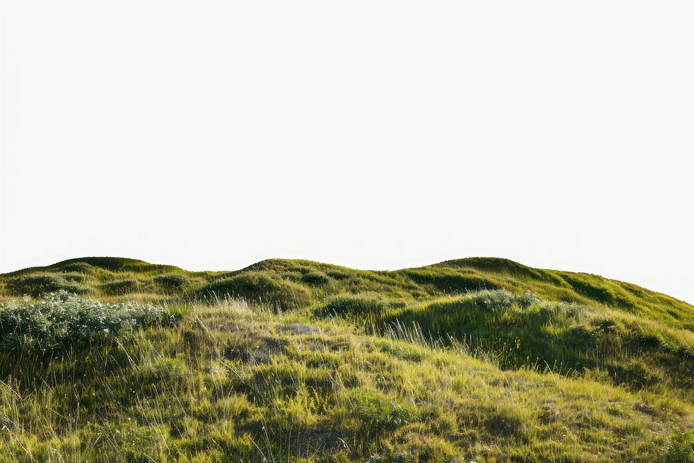 Hill border nature plant landscape. | Premium Photo - rawpixel