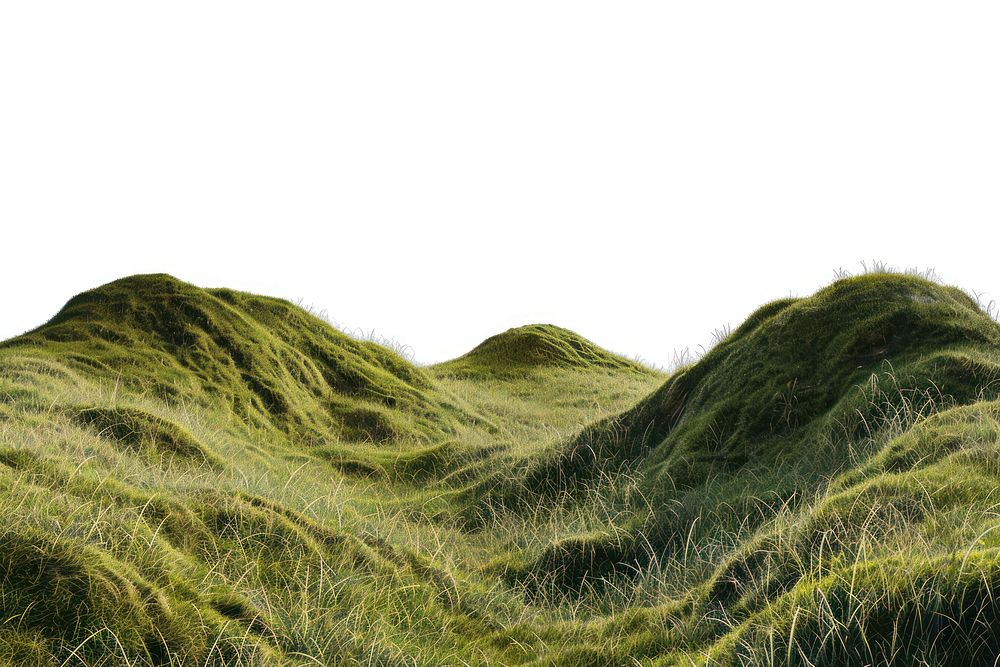 Hill border nature plant vegetation. | Premium Photo - rawpixel