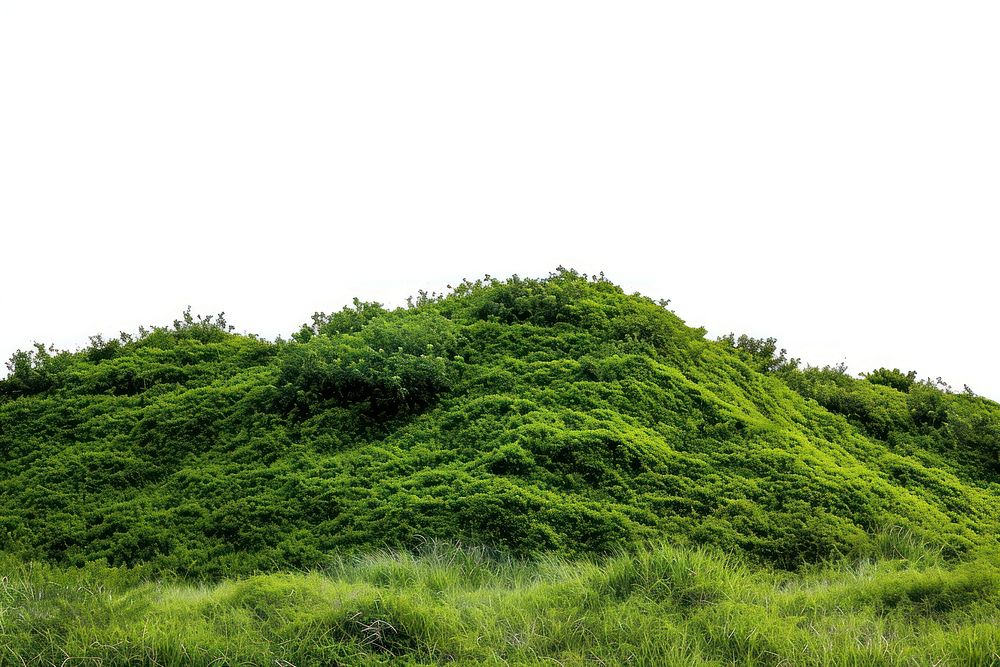 Hill border nature plant vegetation. | Free Photo - rawpixel