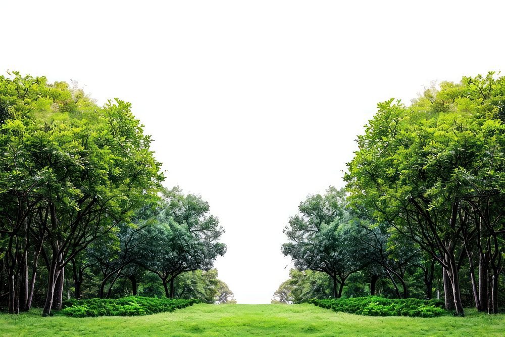 Park border nature plant green. | Free Photo - rawpixel