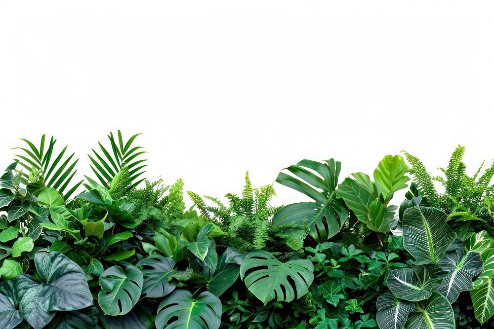 Plant border nature green tree | Free Photo - rawpixel