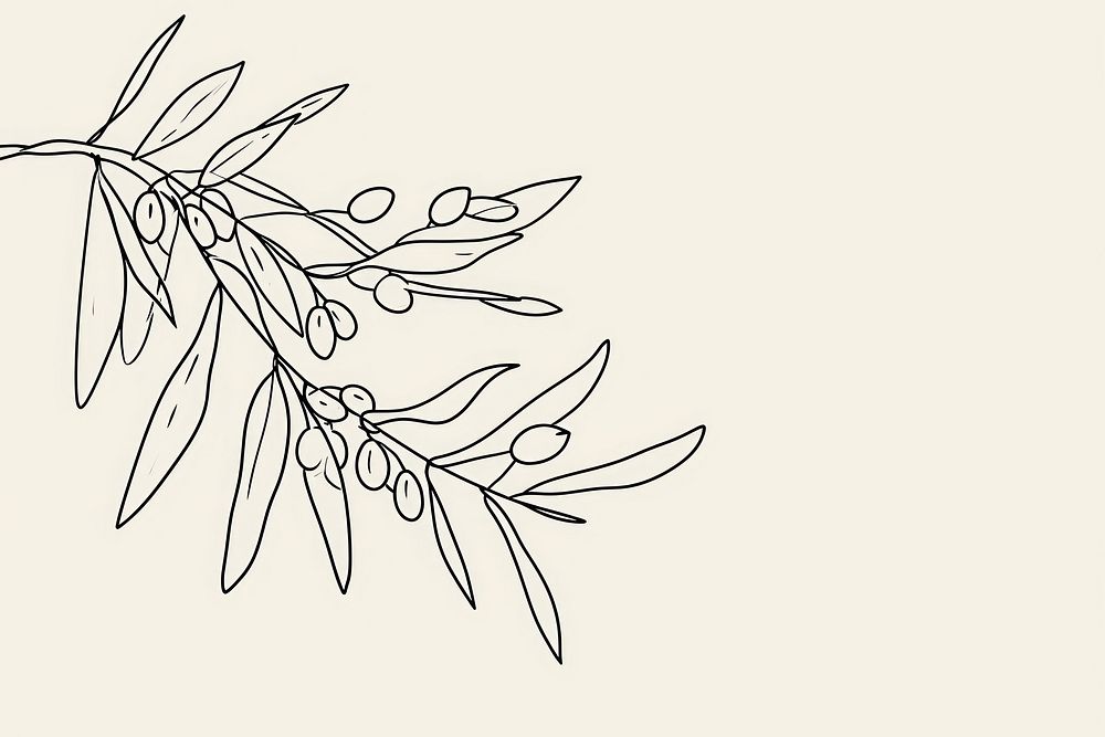 Continuous line drawing olive branch | Free Photo Illustration - rawpixel