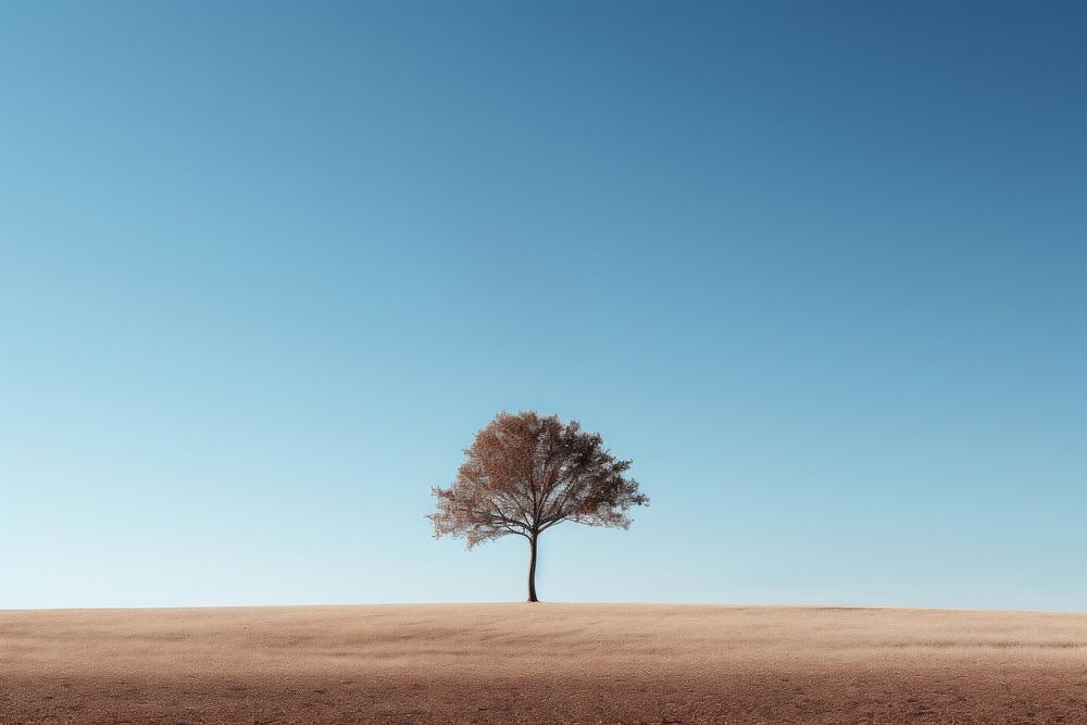 Tree sky outdoors horizon. | Free Photo - rawpixel