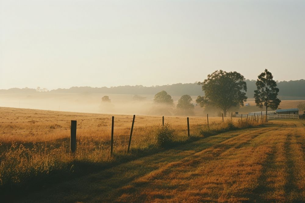 Countryside vibe landscape grassland outdoors. | Free Photo - rawpixel