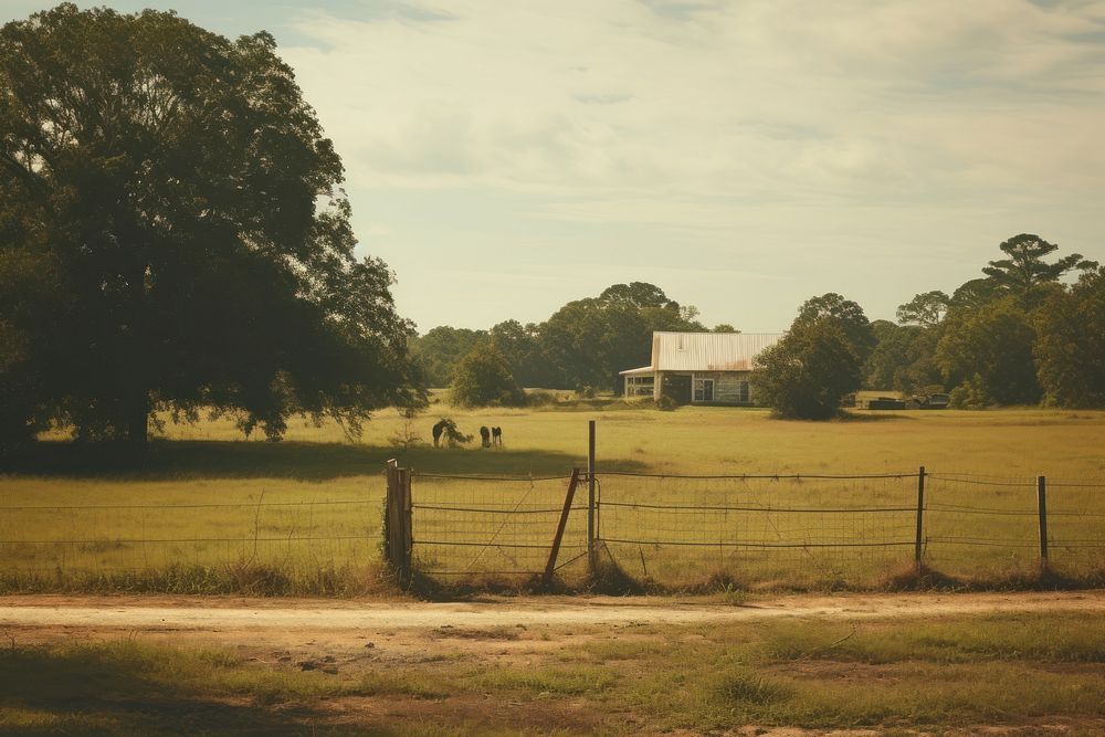 Countryside vibe architecture grassland livestock. | Free Photo - rawpixel