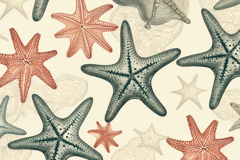Toile wallpaper single starfish invertebrate | Free Photo Illustration ...