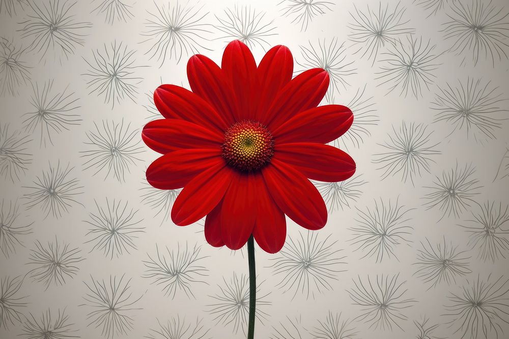 Cute flower wallpaper red theme | Free Photo Illustration - rawpixel