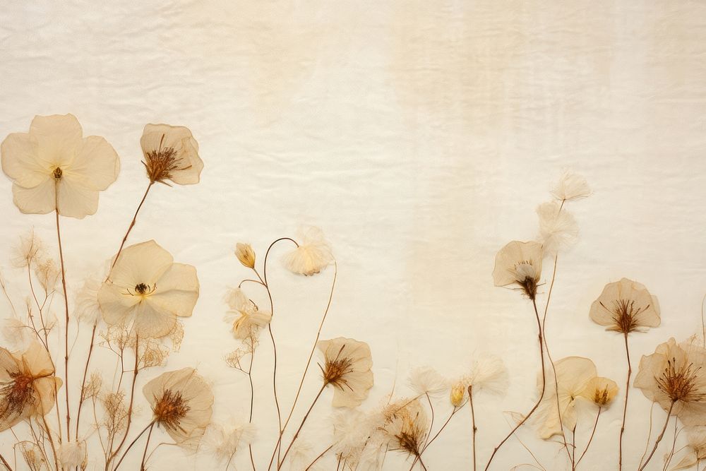 Real pressed cotton flowers backgrounds | Free Photo - rawpixel
