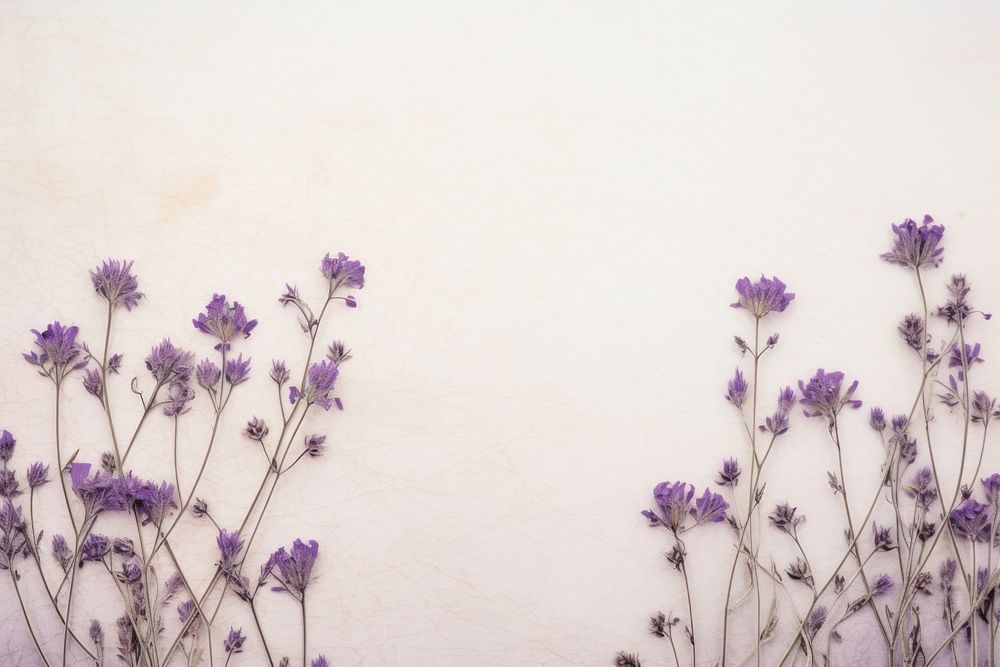 Real pressed purple flowers backgrounds | Premium Photo - rawpixel