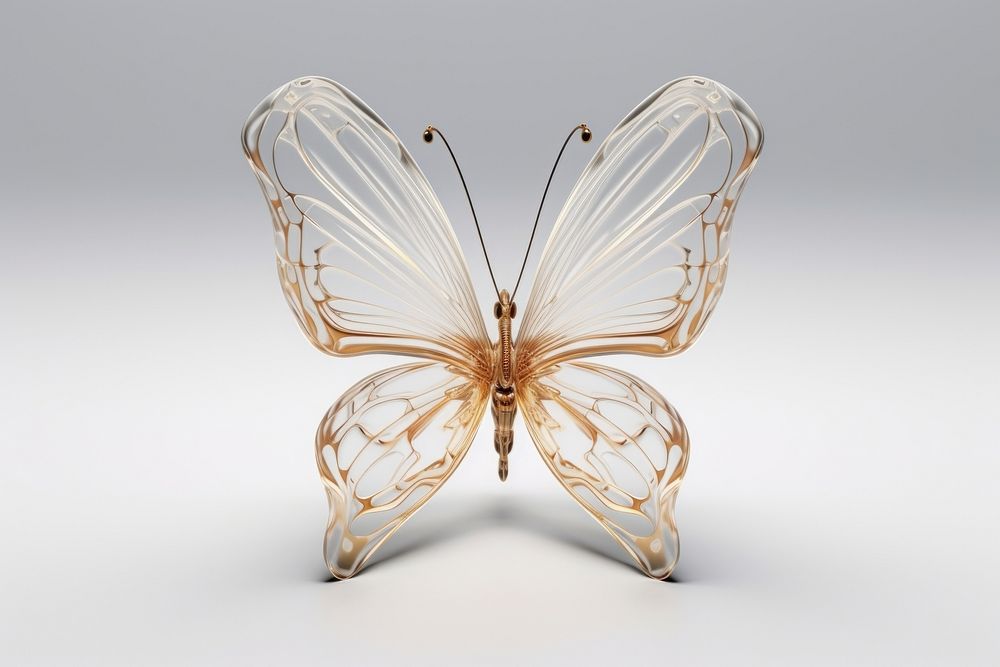 Butterfly side view animal insect | Free Photo - rawpixel