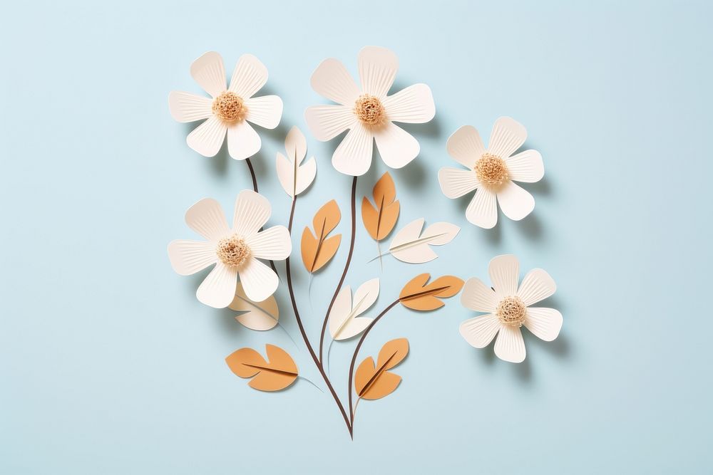 White paper flowers pattern petal | Premium Photo Illustration - rawpixel