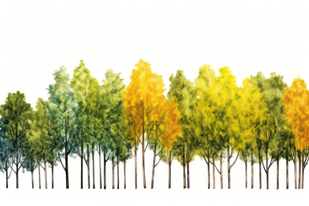 Trees nature backgrounds panoramic. | Free Photo Illustration - rawpixel