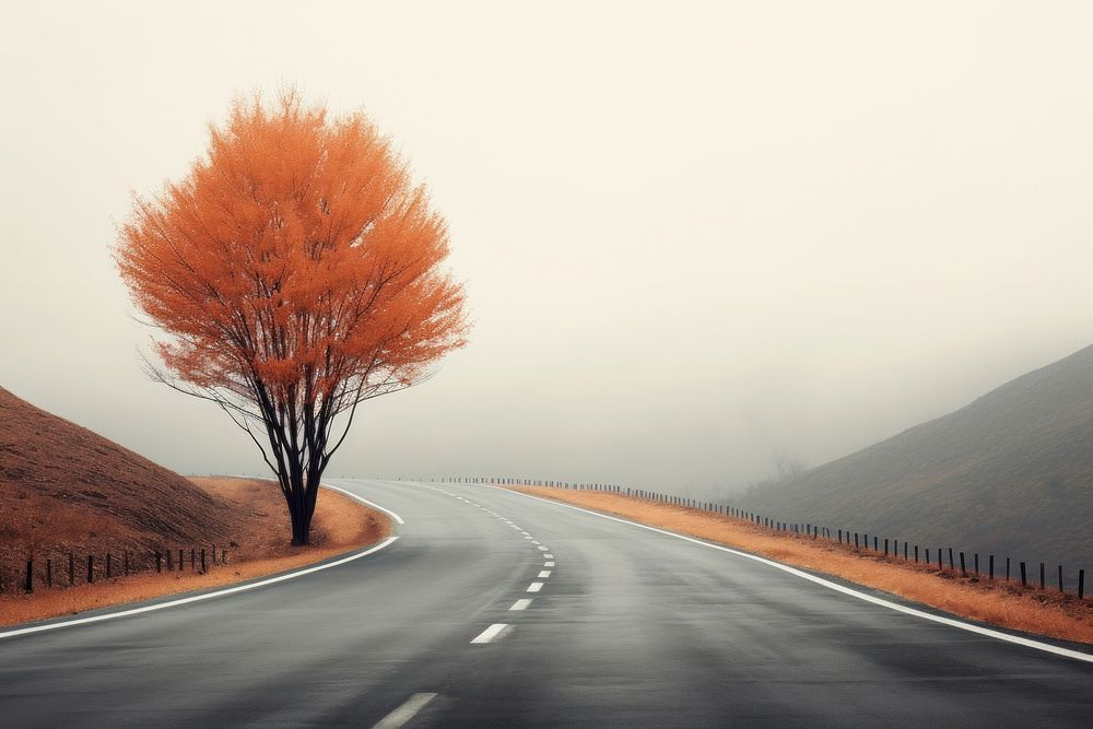 Long autumn road outdoors highway | Free Photo - rawpixel
