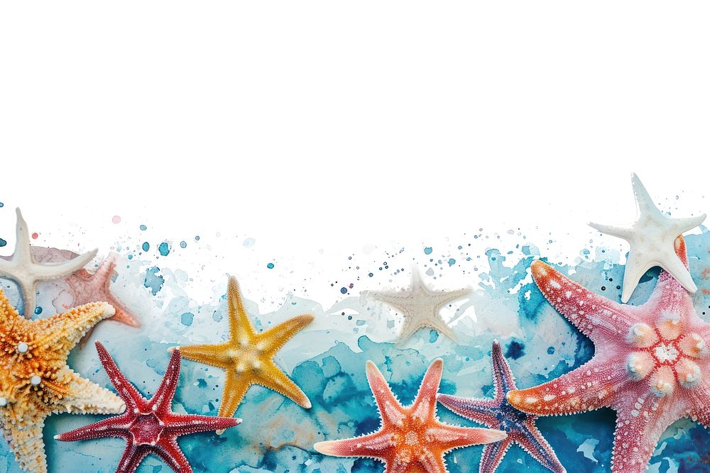 Starfish border starfish invertebrate backgrounds. | Free Photo ...