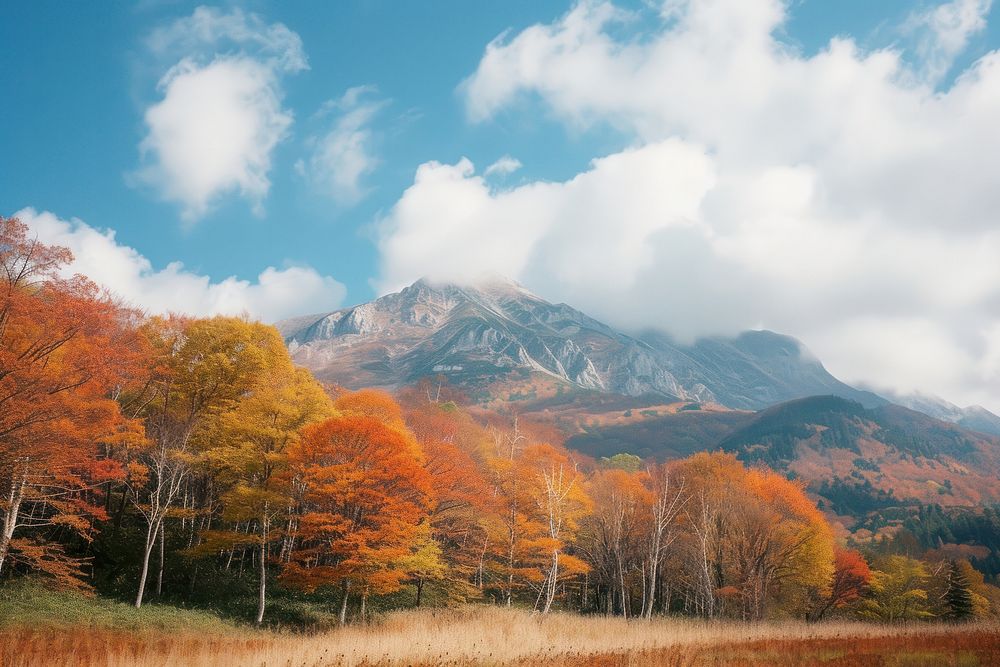 Autumn trees line landscape mountain | Premium Photo - rawpixel