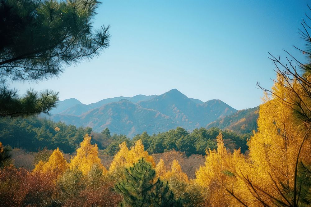 Autumn trees line landscape mountain | Premium Photo - rawpixel