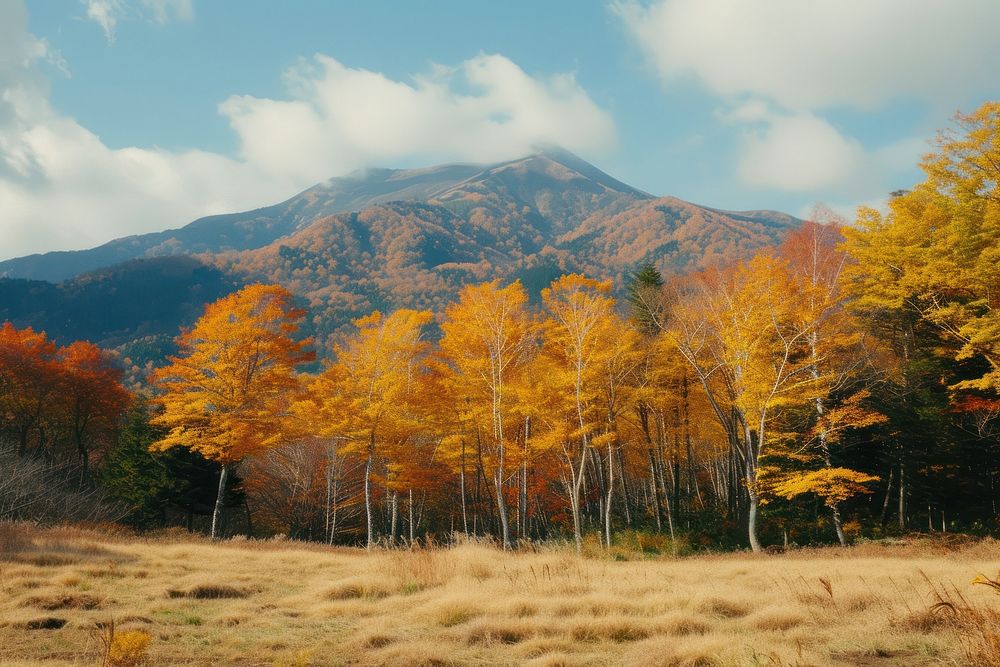 Autumn trees line landscape mountain | Premium Photo - rawpixel