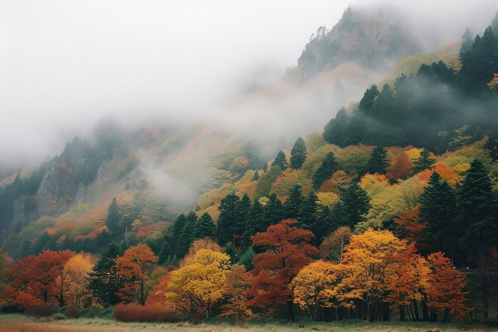 Autumn trees line land landscape | Premium Photo - rawpixel