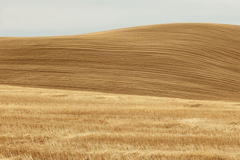 Empty scene windy field outdoors | Free Photo - rawpixel