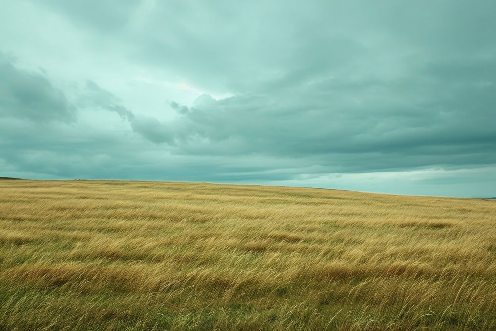 Empty scene windy field landscape | Premium Photo - rawpixel