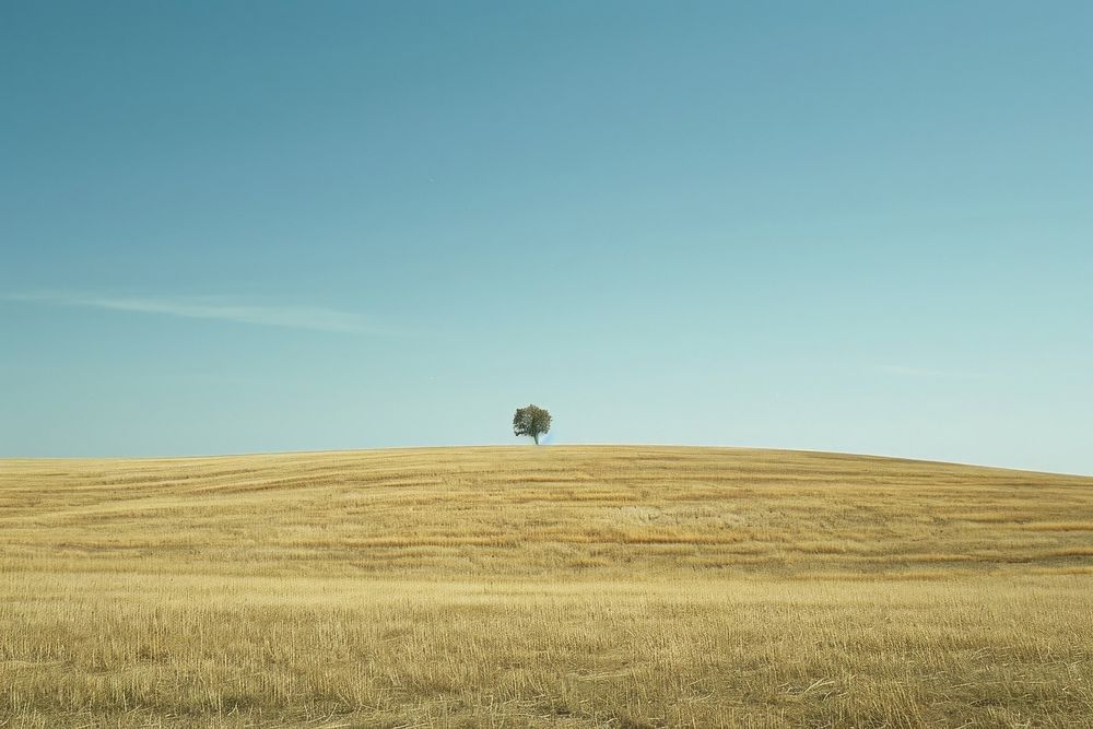 Empty scene windy field outdoors | Premium Photo - rawpixel