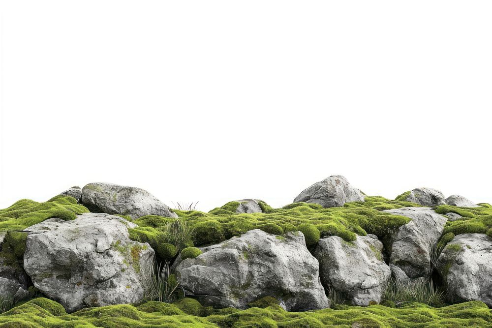 Mossy rocky fields backgrounds outdoors | Premium Photo Illustration ...