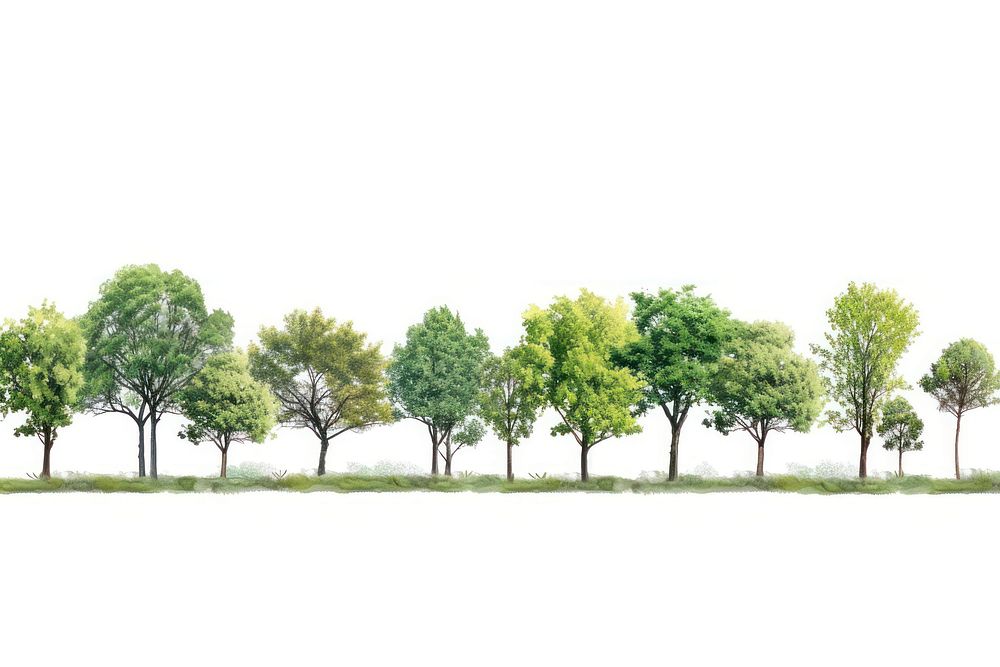 Suburb trees outdoors nature plant. | Premium Photo Illustration - rawpixel
