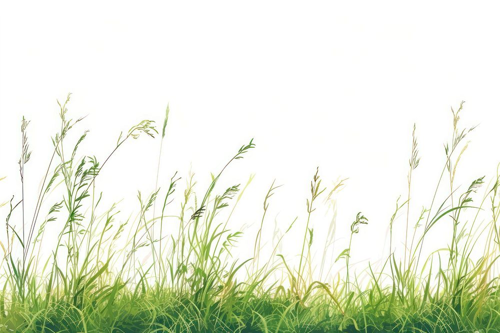 Savanna grass field row backgrounds | Premium Photo Illustration - rawpixel