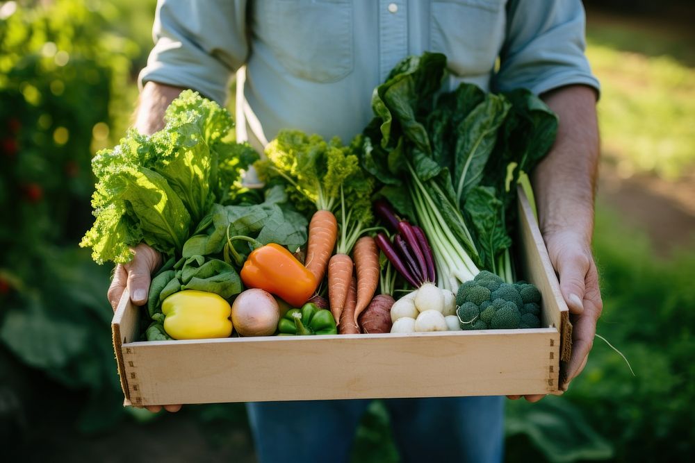 Man receiving CSA box vegetable | Free Photo - rawpixel