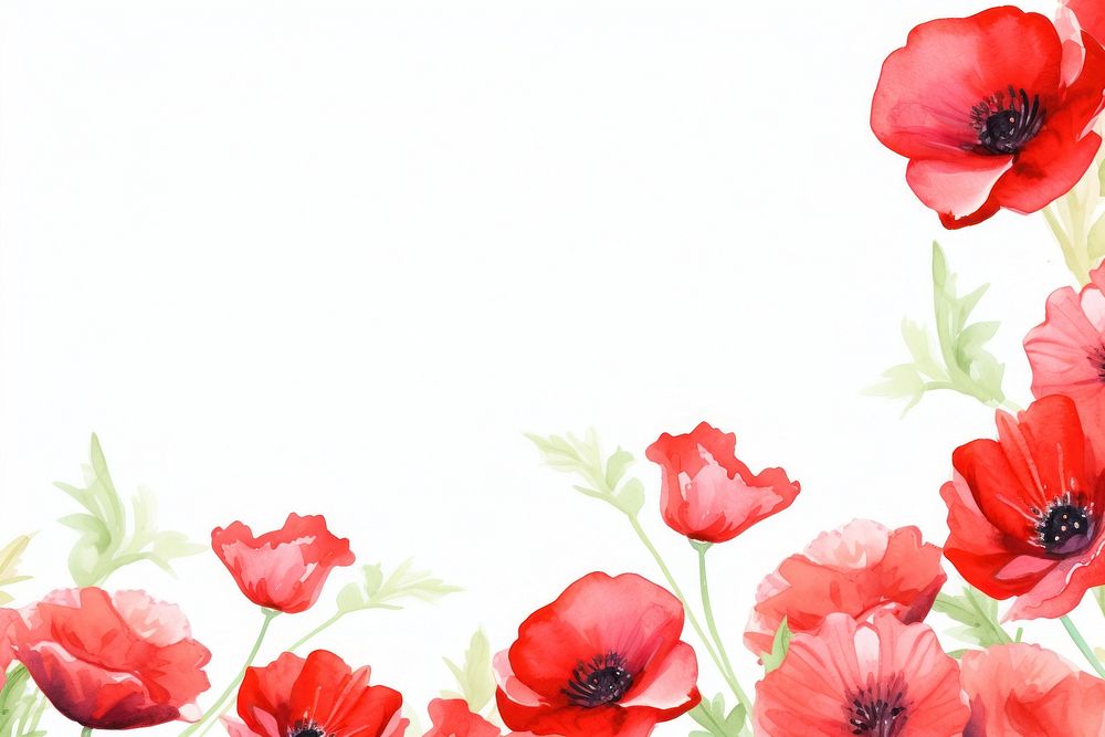 Poppy flowers border frame petal | Free Photo Illustration - rawpixel