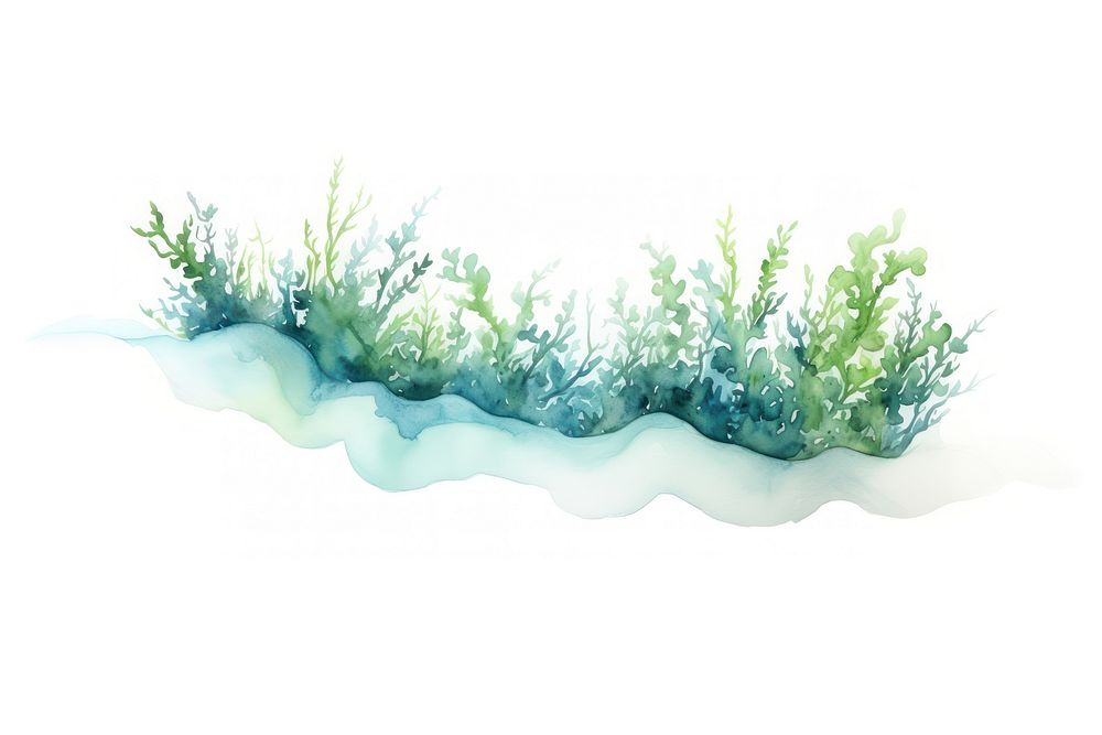 Seaweed border outdoors nature plant. | Premium Photo Illustration ...