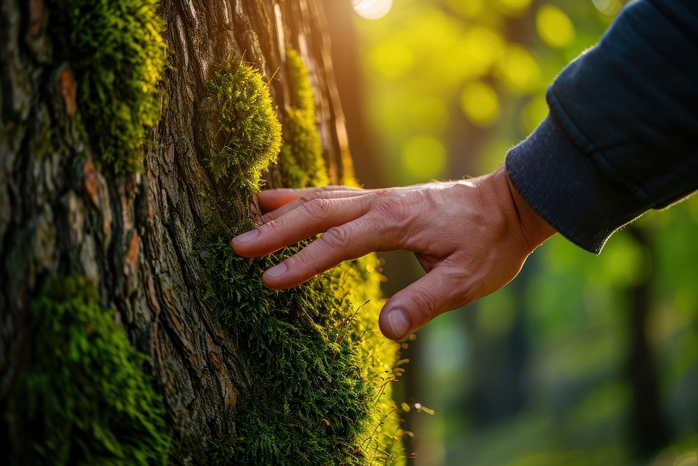 Tree moss hand nature. | Free Photo - rawpixel