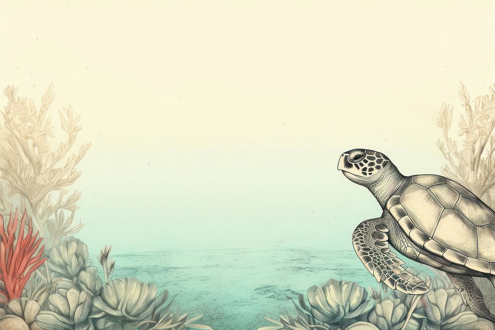 Realistic vintage drawing turtle border | Free Photo Illustration ...