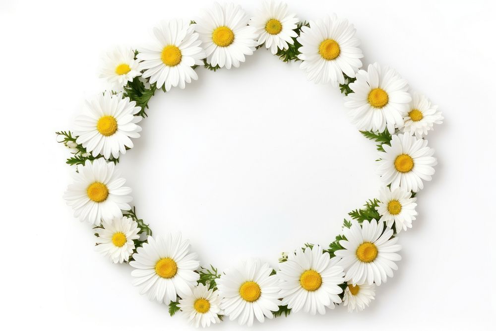 Floral frame daisy flower nature | Premium Photo - rawpixel
