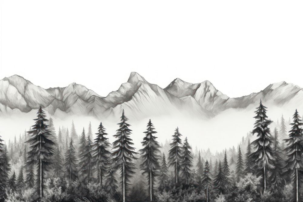 Border graphic forest and mountain | Premium Photo Illustration - rawpixel