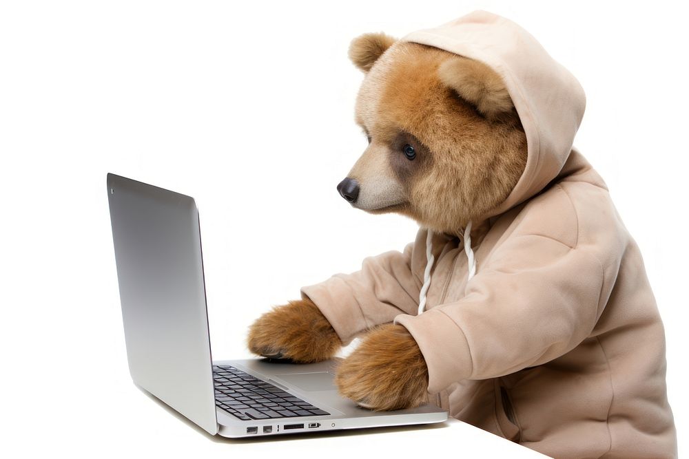 Teddy Bear computer bear laptop | Free Photo - rawpixel