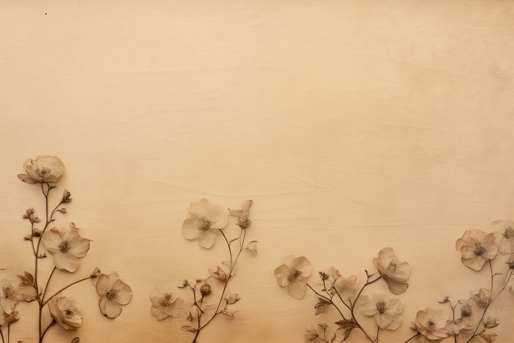 Real Pressed wild roses border | Premium Photo - rawpixel