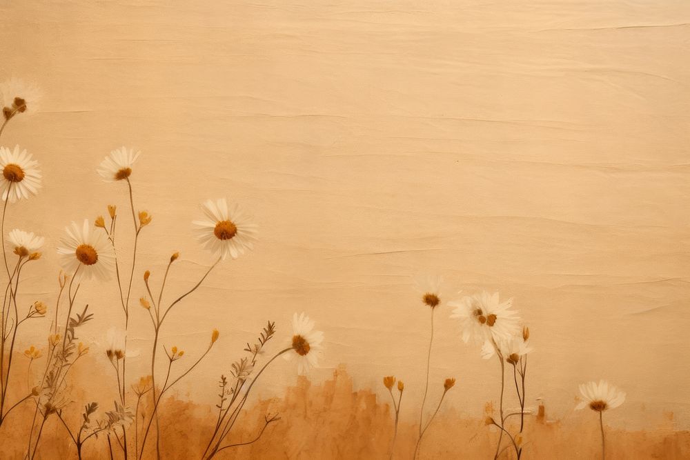 Real Pressed daisy border flower | Free Photo - rawpixel