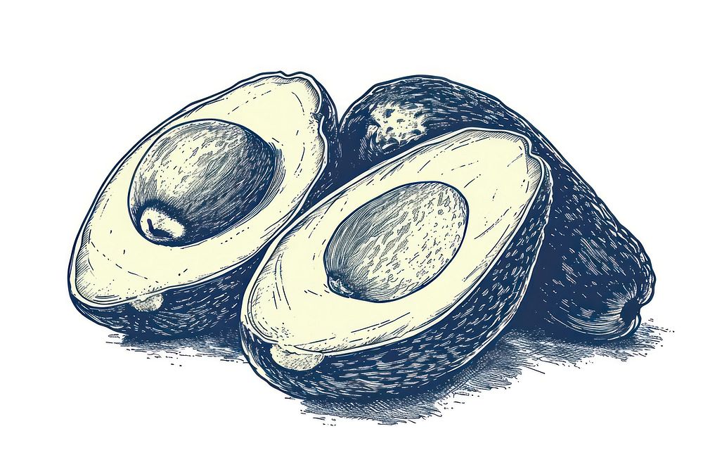 Antique avocado drawing sketch fruit. | Free Photo Illustration - rawpixel