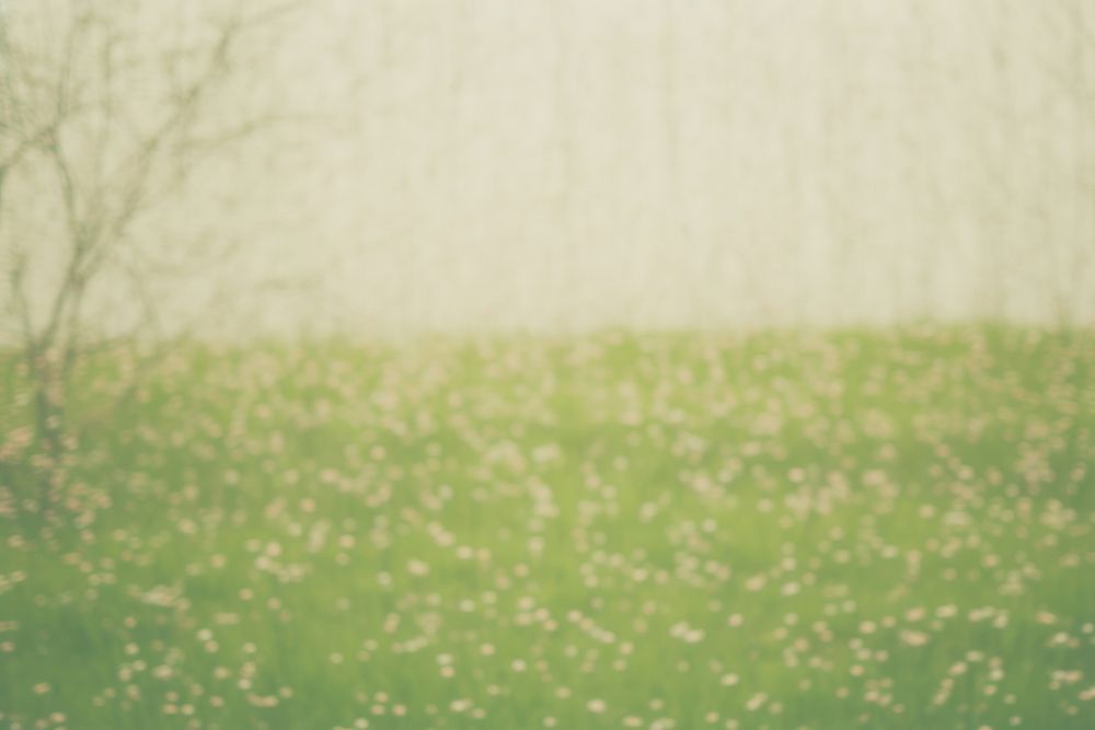 Spring outdoors nature plant. | Free Photo - rawpixel