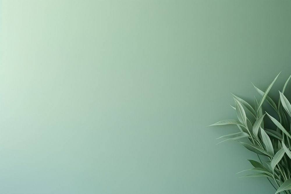 Green aesthetic texture background backgrounds | Free Photo - rawpixel